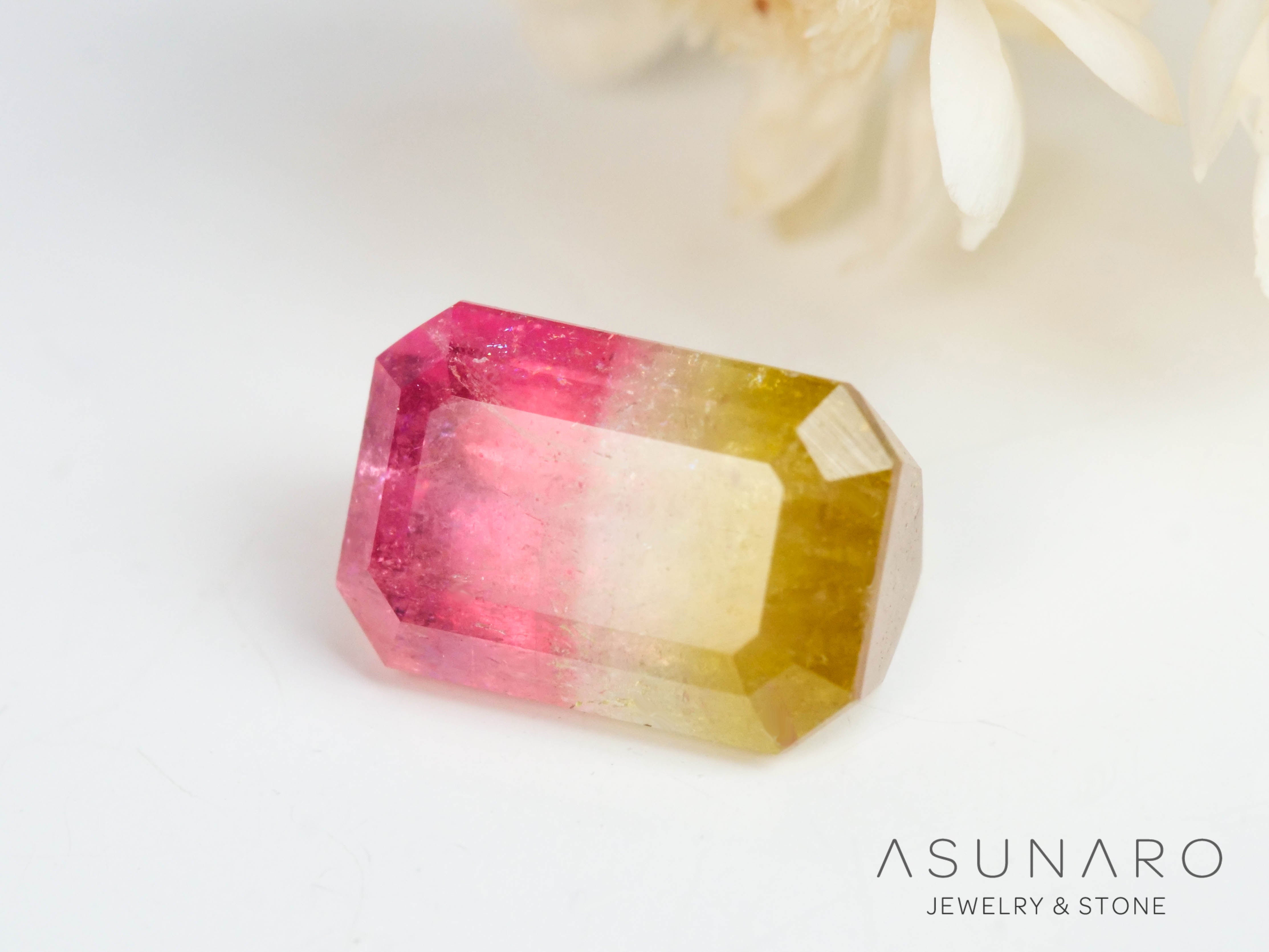 パーティーカラードトルマリン エメラルドカット アフガニスタン産 0.84ct【250313-2790】 – ASUNARO STONE