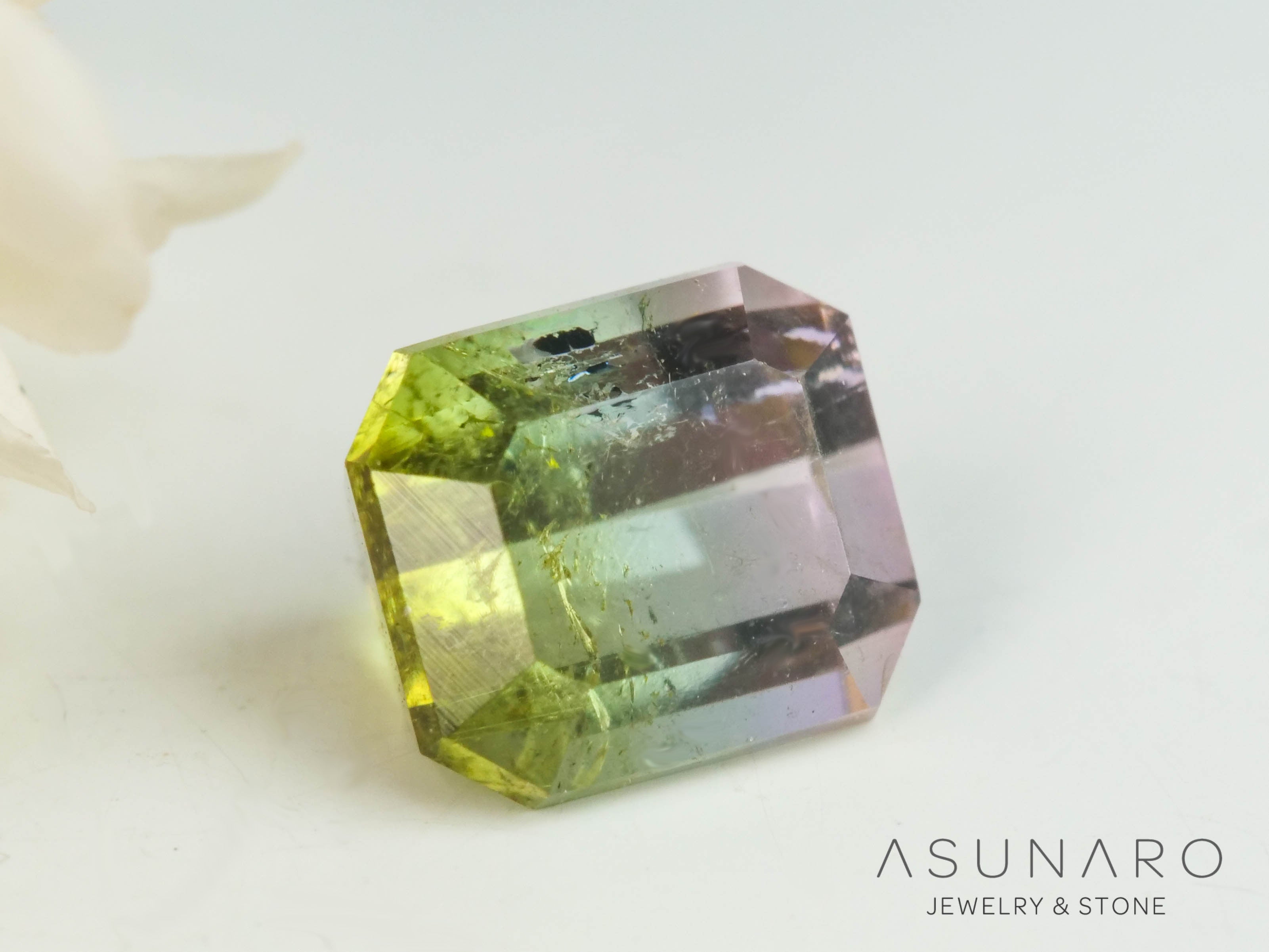 バイカラートルマリン エメラルドカット アフガニスタン産 0.46ct【250409-2857】 – ASUNARO STONE